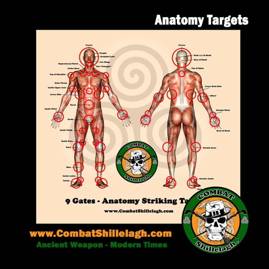 Combat Shillelagh - Level I Green Belt Intro Bundle - Combat Shillelagh